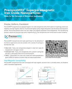 Superparamagnetic Iron Oxide Nanoparticles (SPIONs)